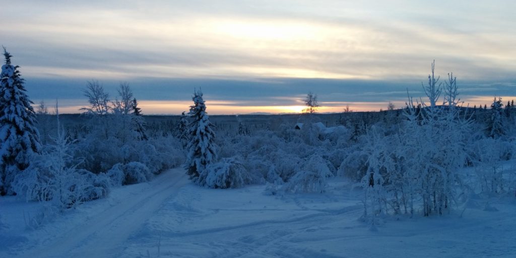 Goldstream Valley Greenbelt | Interior Alaska Land Trust